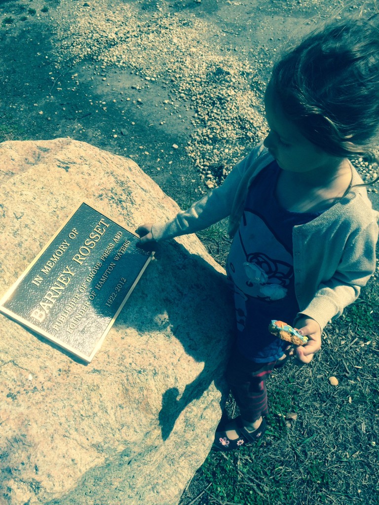 Photos – Barney's Wall